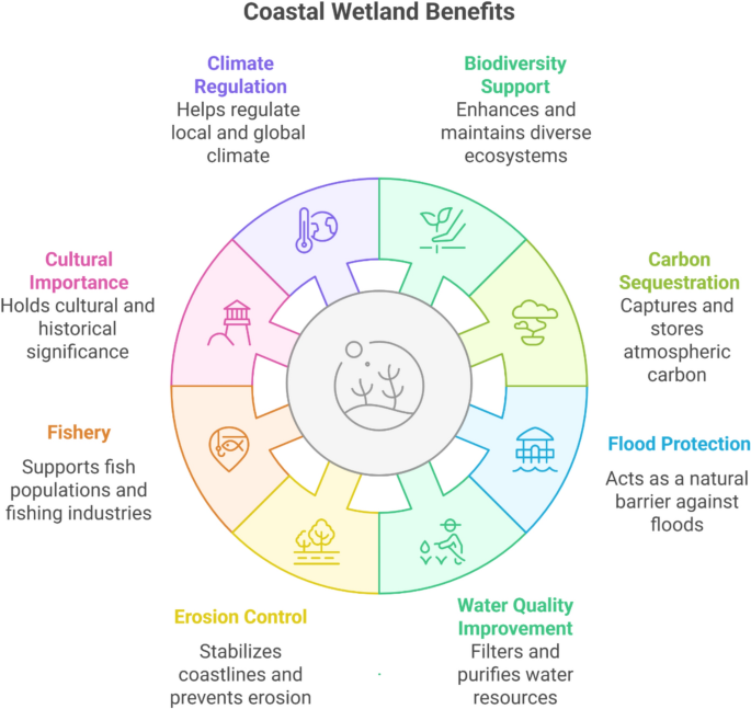 Understanding dynamics of water quality of coastal wetlands in a ...