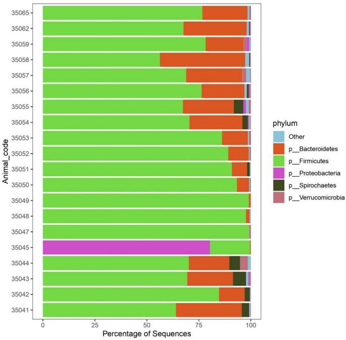 Faecal microbial diversity in a cattle herd infected by Mycobacterium ...