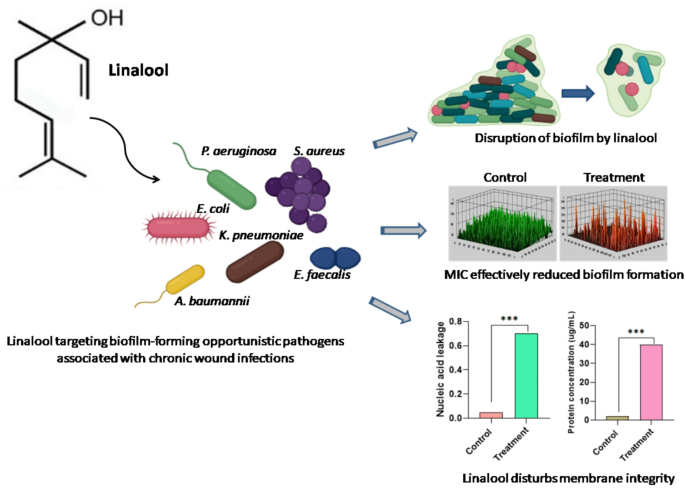 Broad-spectrum antimicrobial properties of linalool: supporting its pharmacological use in ...