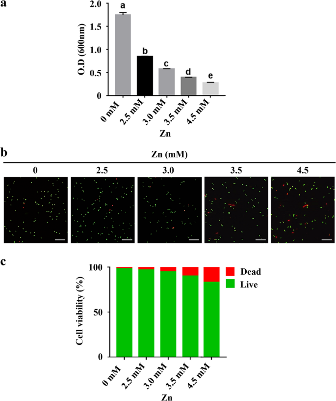 The pentose phosphate pathway is essential for the resistance of Gluconacetobacter ...