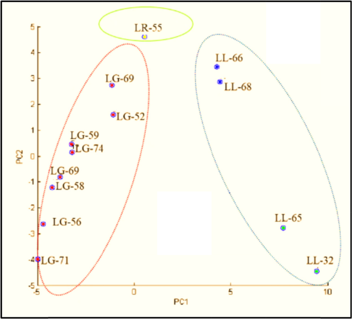 A pilot study on MALDI-TOF MS-based discrimination of Enterococcus ...