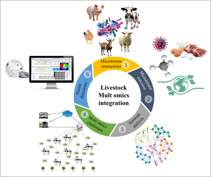 A guide to network analysis, multi-omics integration, and applications ...