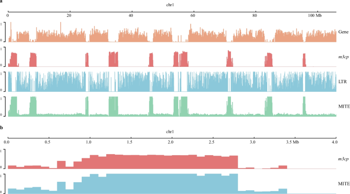 Miniature inverted–repeat transposable elements (MITEs) play a ...
