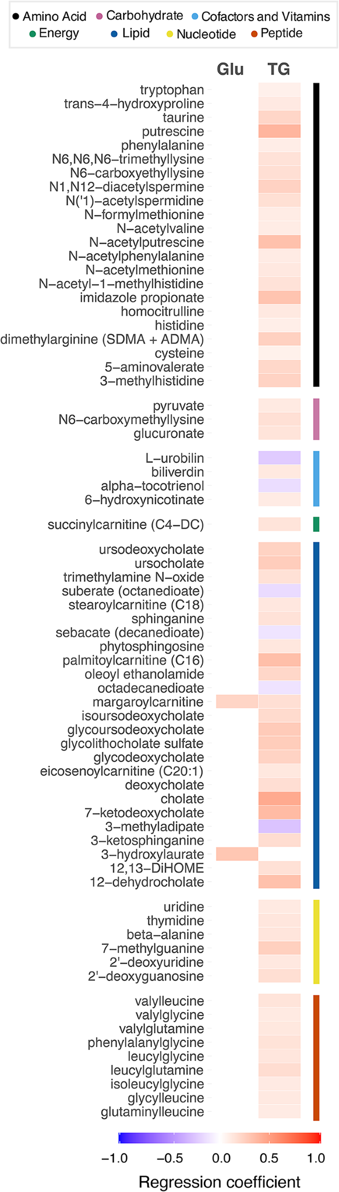 Stool and blood metabolomics in the metabolic syndrome: a cross ...