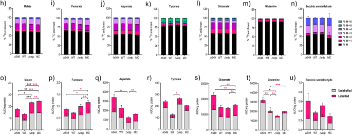 Mycobacterium tuberculosis curli pili (MTP) facilitates pathogenicity ...