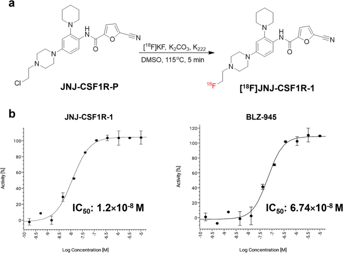 Evaluation of [18F]JNJ-CSF1R-1 as a Positron Emission Tomography Ligand ...