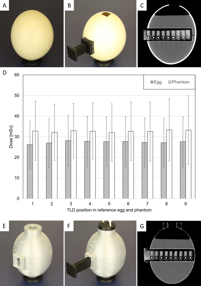In-Ovo Imaging with Ostrich Eggs: Eggshell Attenuation in CT and ...