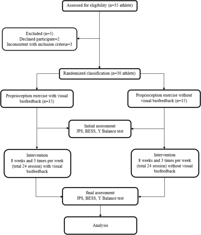 Restoring stability and proprioception: the use of postural re-education and proprioceptive ...