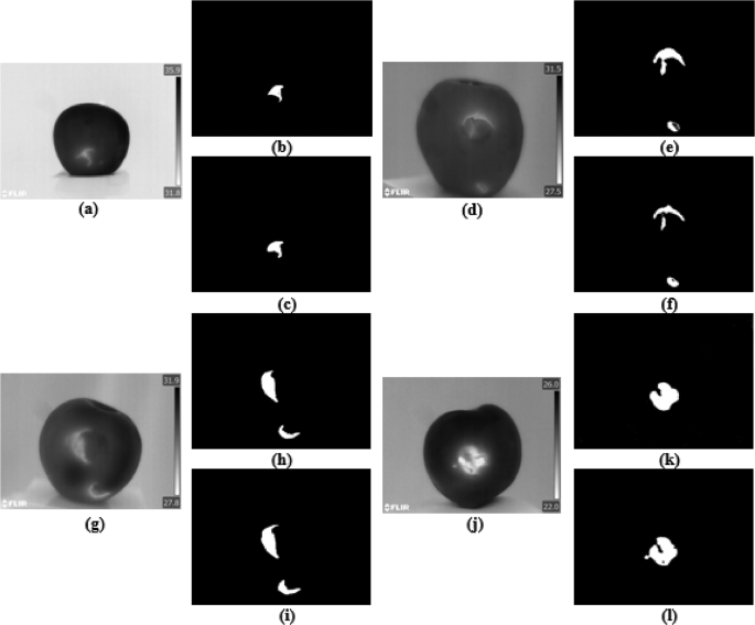 A novel self-attention guided deep neural network for bruise segmentation using infrared imaging ...