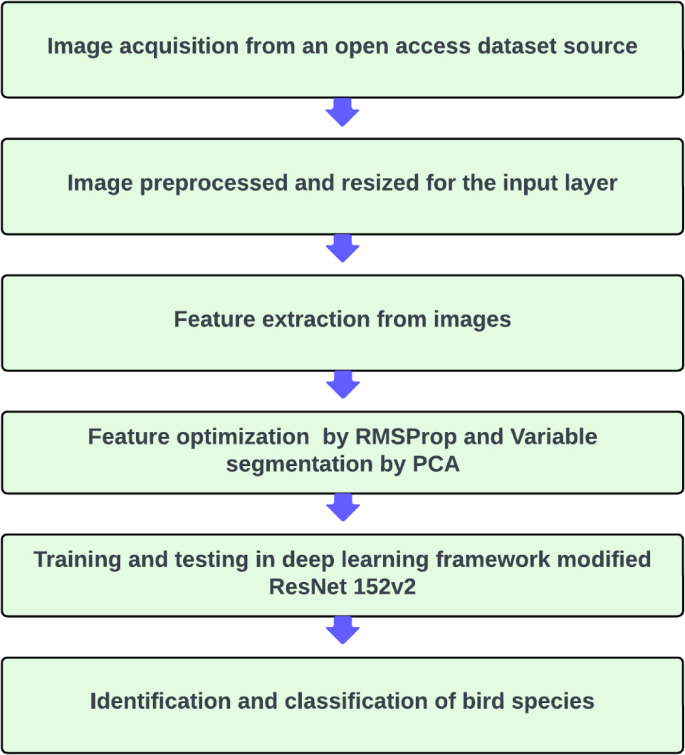 A modified ResNet152v2 framework for bird species classification ...
