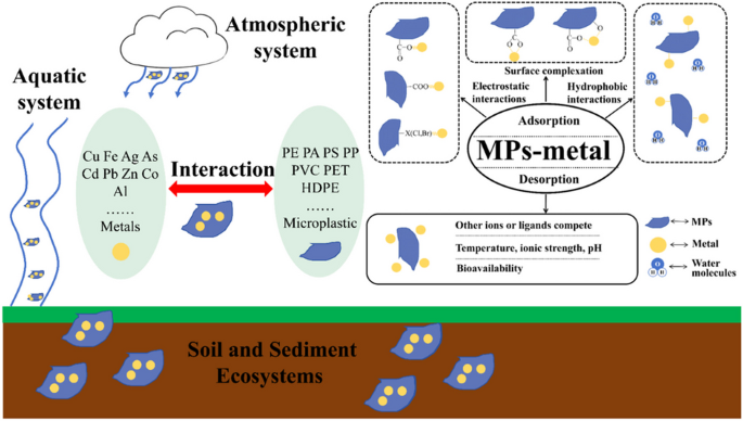 Microplastic-mediated environmental behavior of metal contaminants: mechanism and implication ...