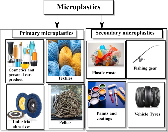 Reviewing the role of microplastics as carriers for microorganisms in ...