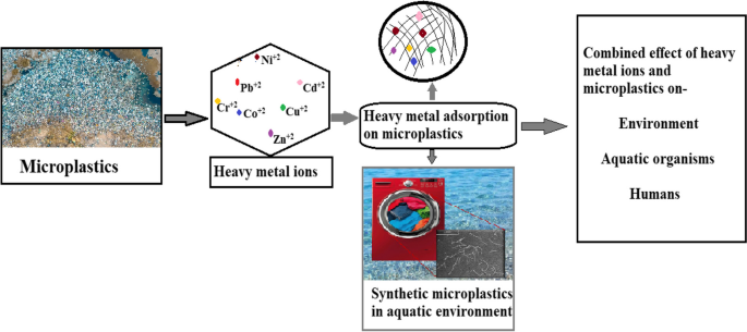 Reviewing the role of microplastics as carriers for microorganisms in absorbing toxic trace ...