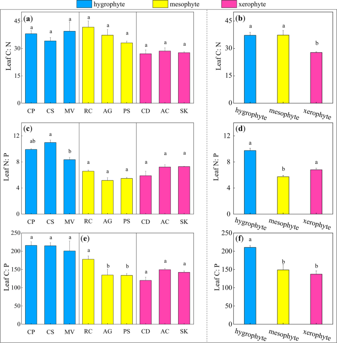 Riparian plant-soil-microbial C:N:P stoichiometry: are they conserved at plant functional group ...