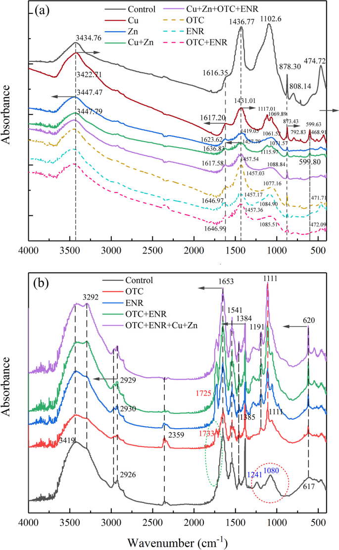 Enhanced removal of antibiotics and heavy metals in aquatic systems ...