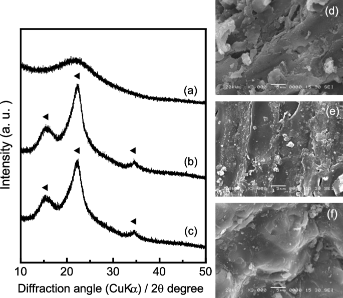 Conversion of rice husks into carbonaceous materials with porous ...