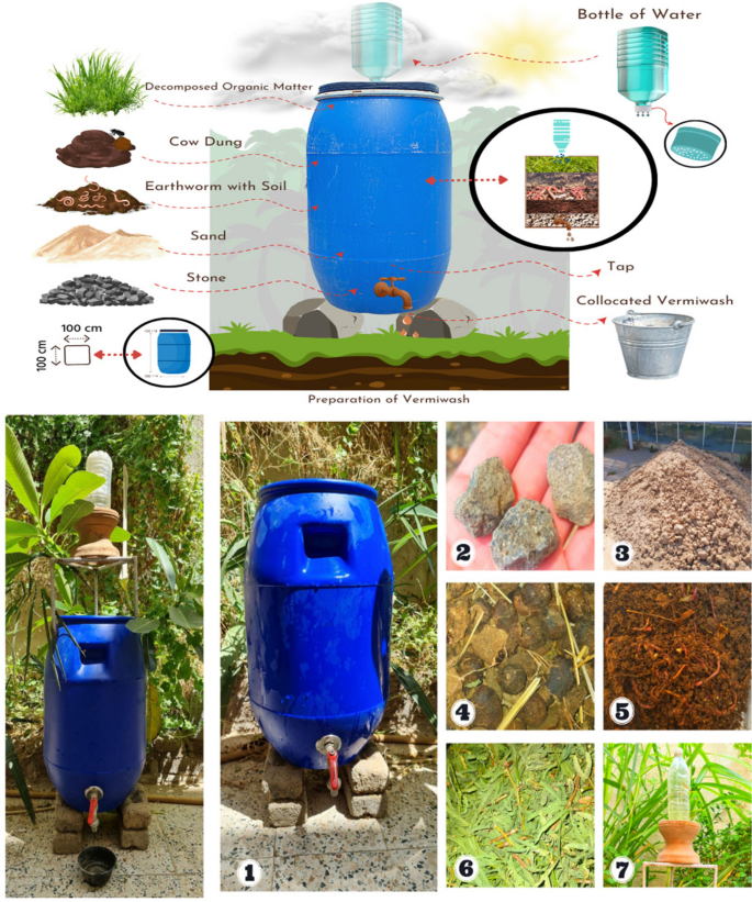 Synergistic effect by Sorghum bicolor L., citric acid, biochar, and ...