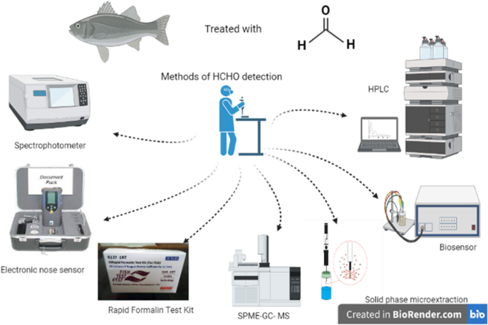 Formaldehyde contamination in seafood industry: an update on detection ...