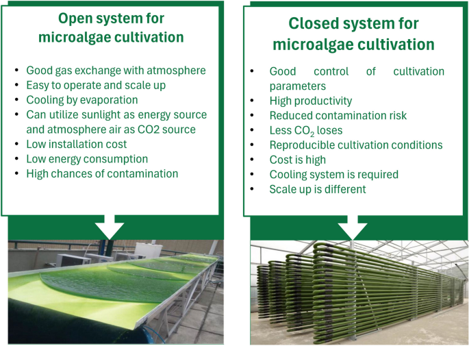 Algae-based bioremediation of soil, water, and air: a solution to ...