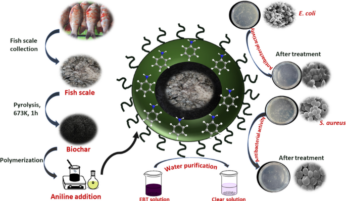 Integrated thermo-chemical embedment of waste fish-scale onto ...