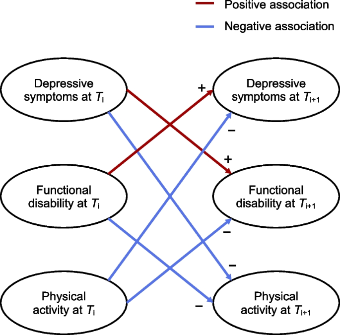 Longitudinal relationships between depressive symptoms, functional ...