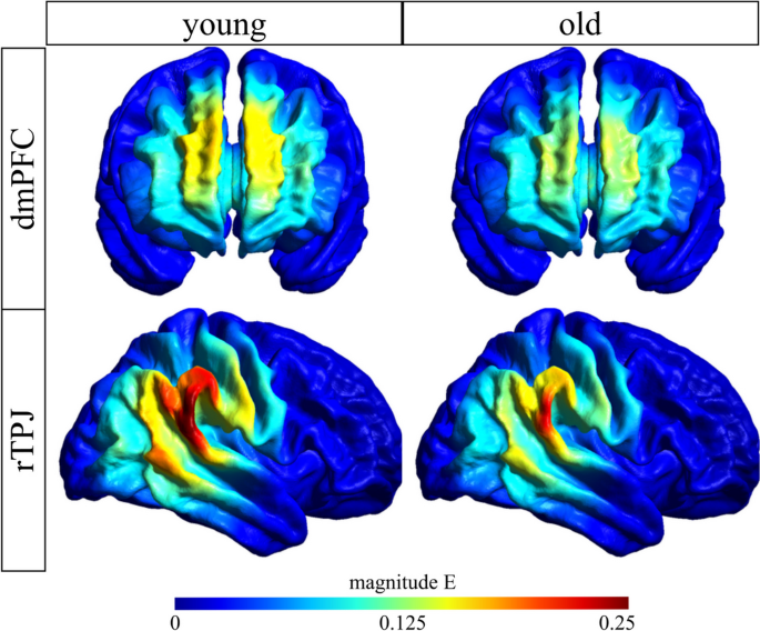 Intact embodiment during perspective-taking in older adults is not ...