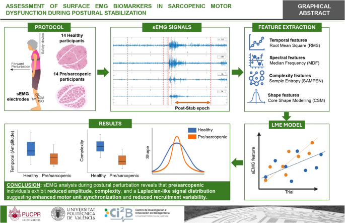 Assessment of surface EMG biomarkers in sarcopenic motor dysfunction ...