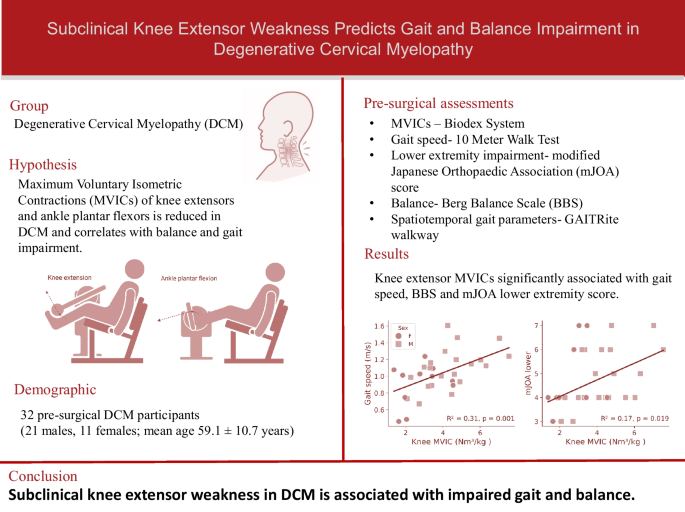 Subclinical knee extensor weakness predicts gait and balance impairment ...