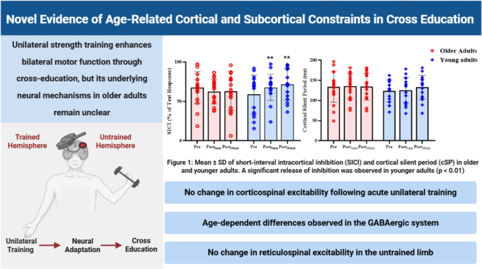 Novel evidence of age-related cortical and subcortical constraints in ...