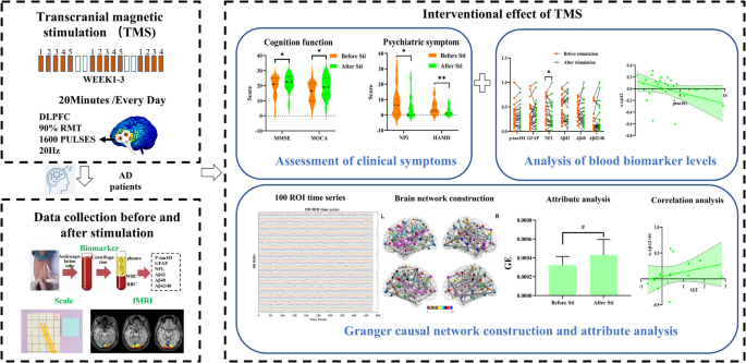 rTMS modulates early AD progression via synergistic brain network ...