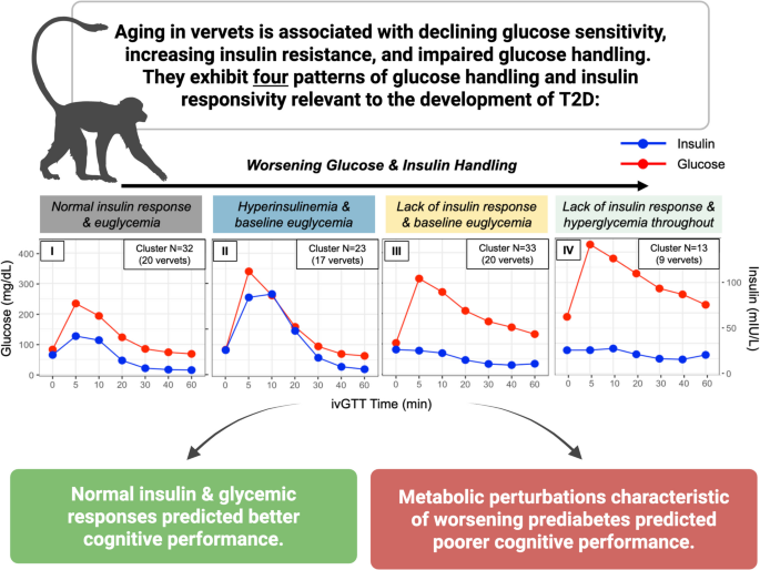 Age, glucose tolerance, and cognitive performance in female vervet ...