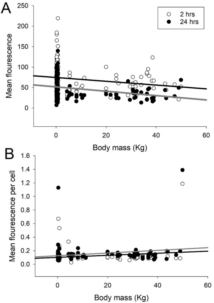Efficiency of DNA repair mechanisms of domestic dog primary fibroblasts ...