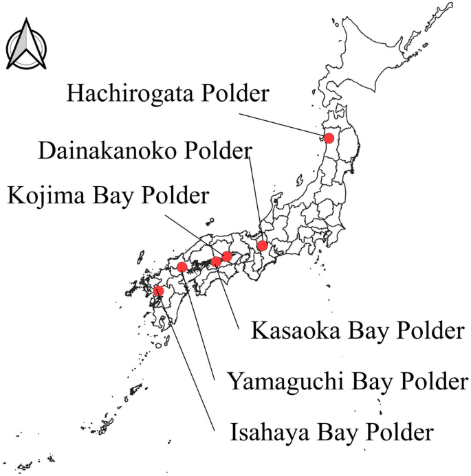 Effect of particle size distribution of sediments on development of ...