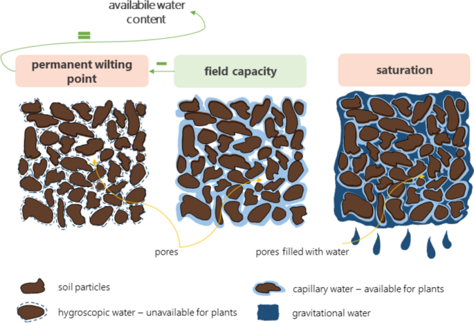 Management of the soil environment using biochar and zeolite in various ...
