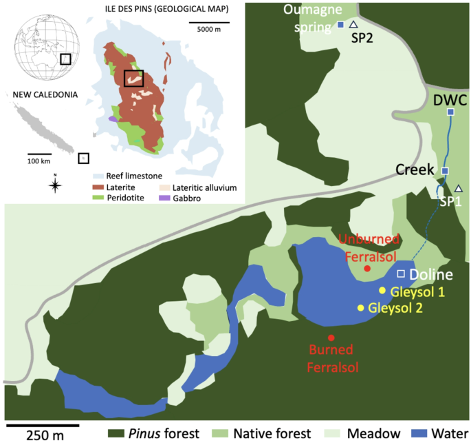 Nickel dynamics in acid sulfate soils formed after wildfires across ...