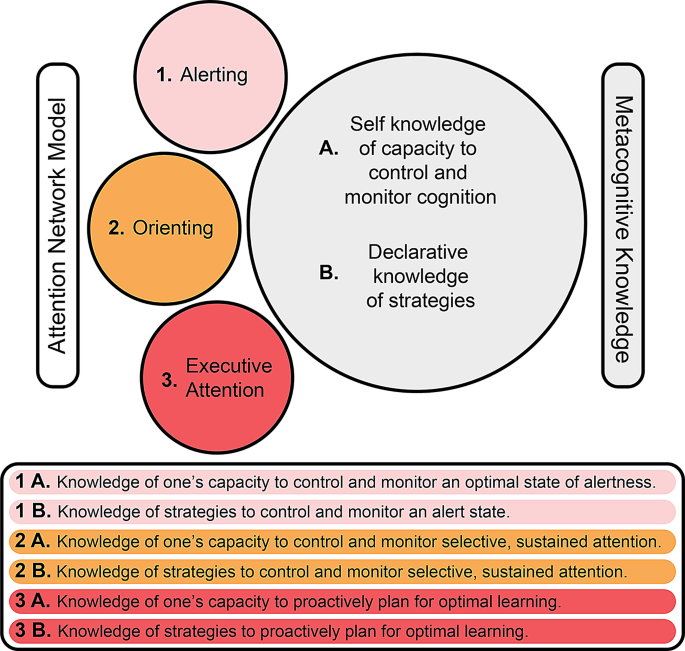 The meta-attention knowledge questionnaire (MAKQ): a new instrument for ...