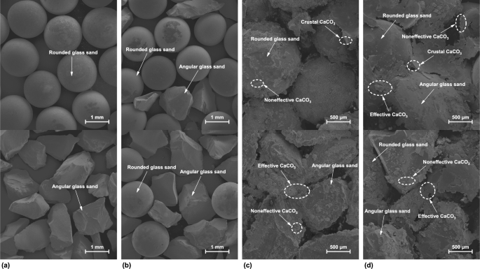 Effect of particle morphology on the permeability of biocemented glass ...