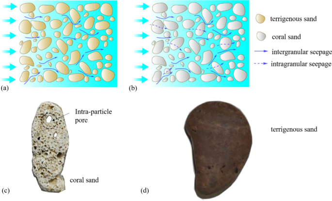 Effect of the structure of intra-particle pores on suffusion in coral ...