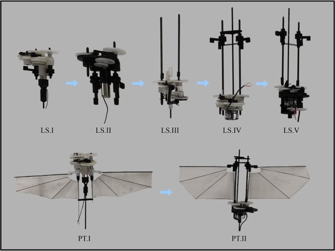 Lift system optimization for hover-capable flapping wing micro air ...