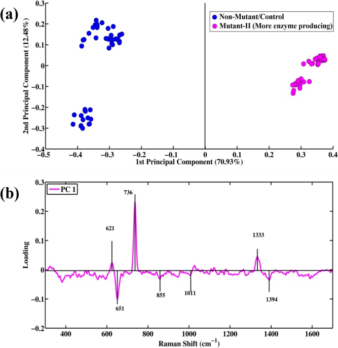 Surface-Enhanced Raman Spectral Profiling of Gamma Radiation-Induced ...