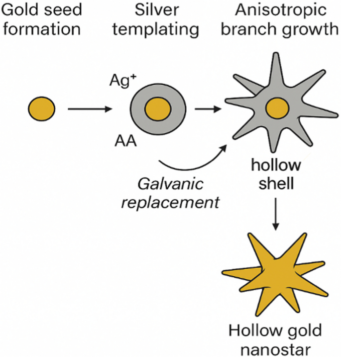 Single-Cell Photothermal Ablation Using Wavelength-Matched Hollow Gold ...