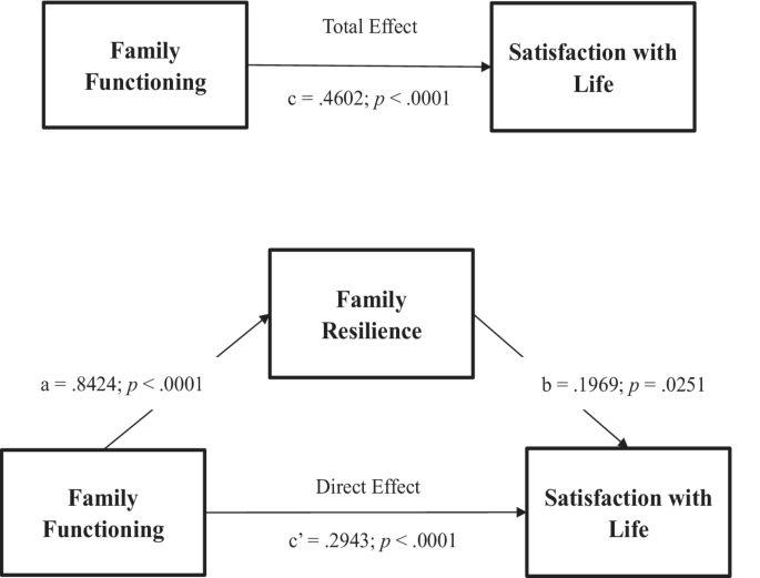 Family Resilience as a Mediator in the Relationship Between Family ...