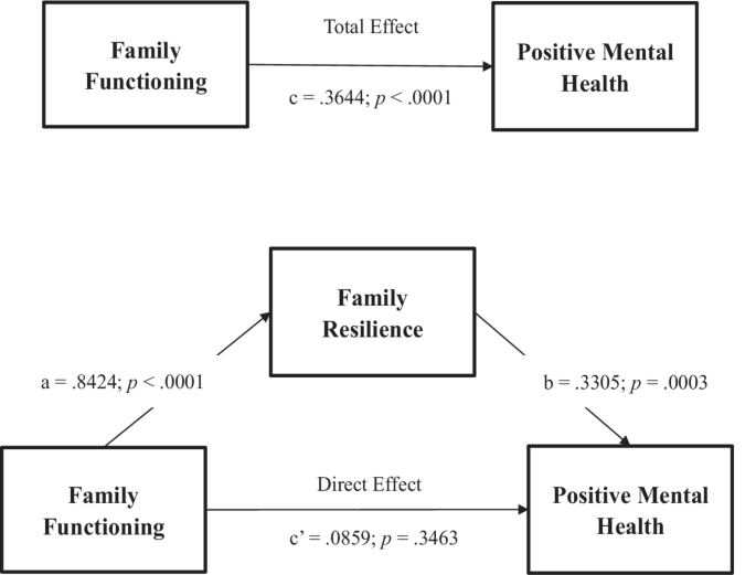 Family Resilience as a Mediator in the Relationship Between Family ...