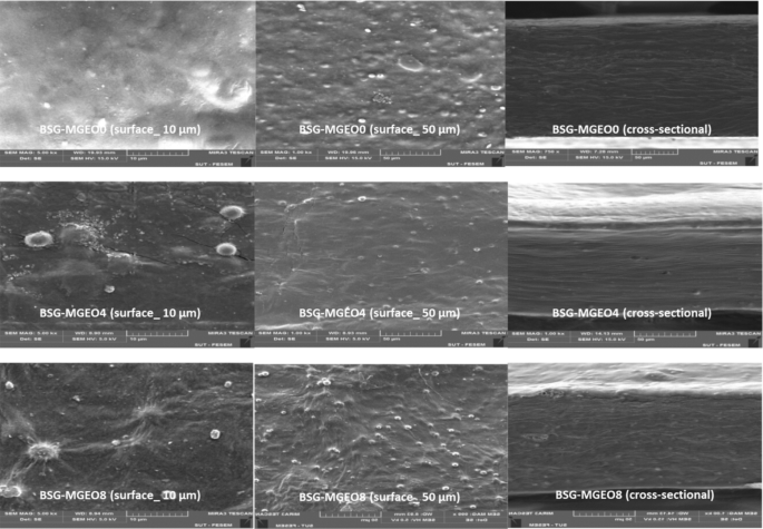 Active Microcapsules and Edible Films Obtained from Basil seed Gum and ...