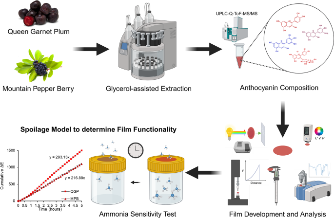 Design and Evaluation of pH-Sensitive Pectin Films Infused with ...