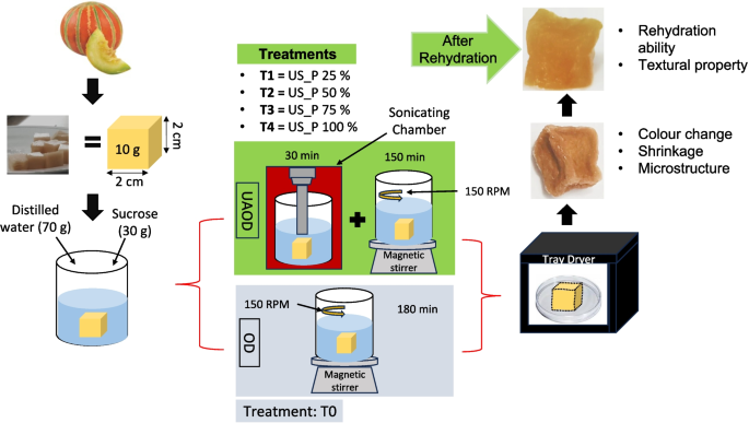 Effect of Ultrasound-Assisted Osmotic Dehydration Pre-Treatment on Tray Drying of Musk Melon ...