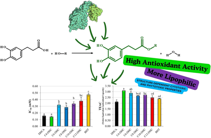 Enzymatic Synthesis and Bioactivity Evaluation of Alkyl ...