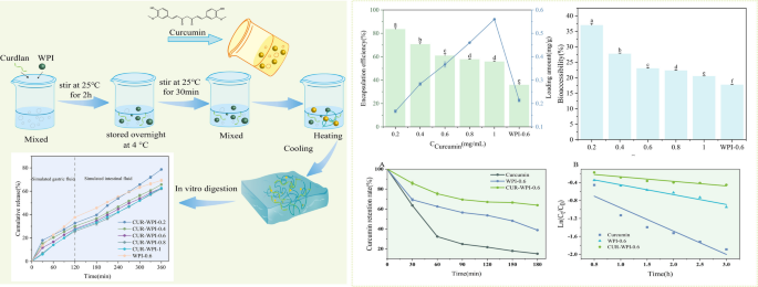 Encapsulation of Curcumin using Curdlan-whey Protein Isolate Composite ...