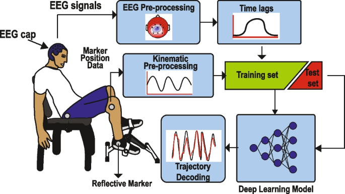 Decoding lower-limb kinematic parameters during pedaling tasks using deep learning approaches ...