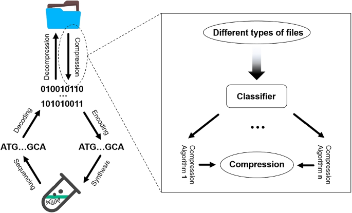 Multi-file dynamic compression method based on classification algorithm ...
